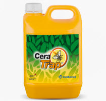 Cera Trap – fruitime